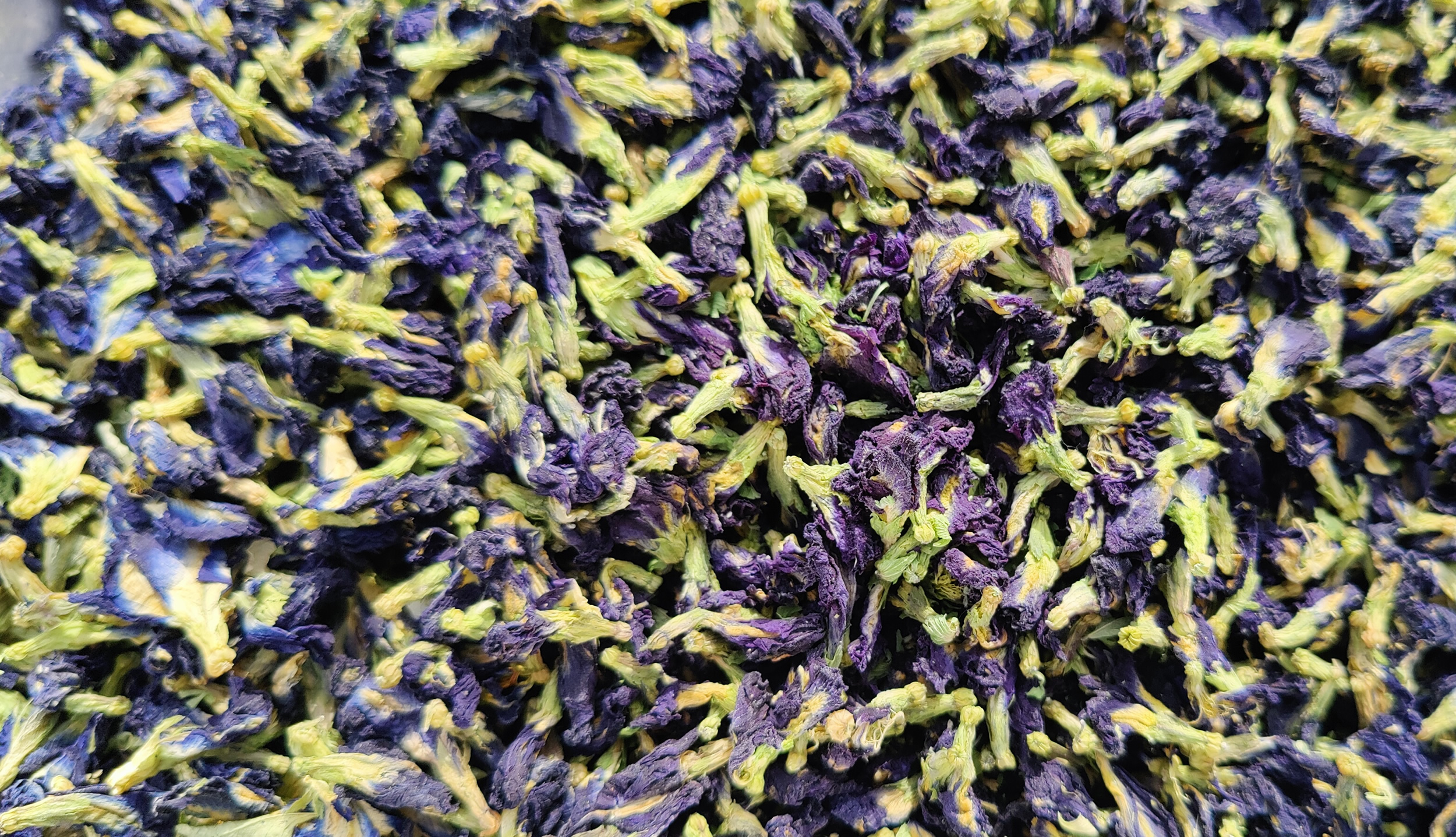 Té de mariposa azul : Butterfly Pea flower tea Clitoria Ternatea