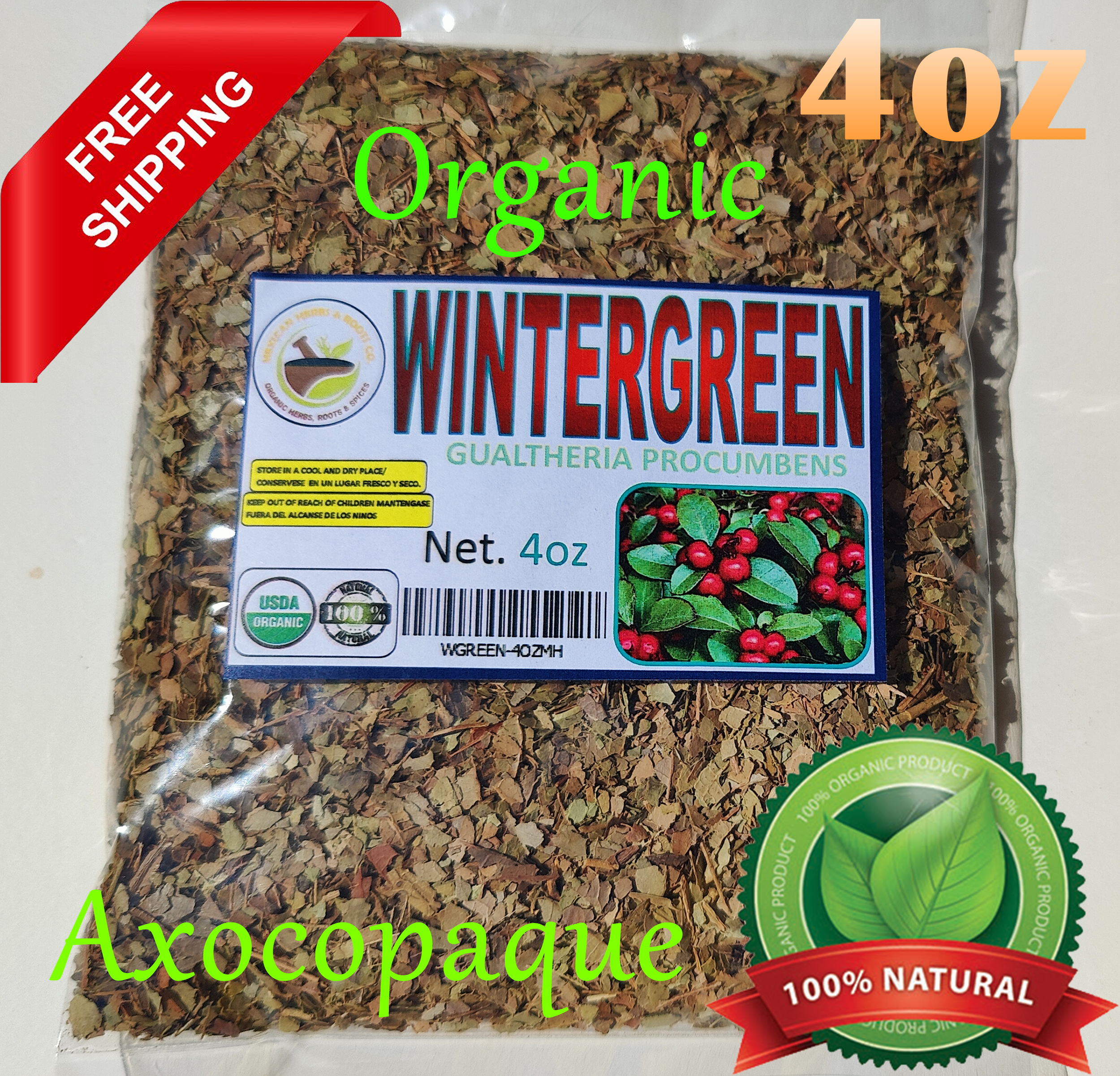 Axocopaque : Gaultheria procumbens, Wintergreen herbs