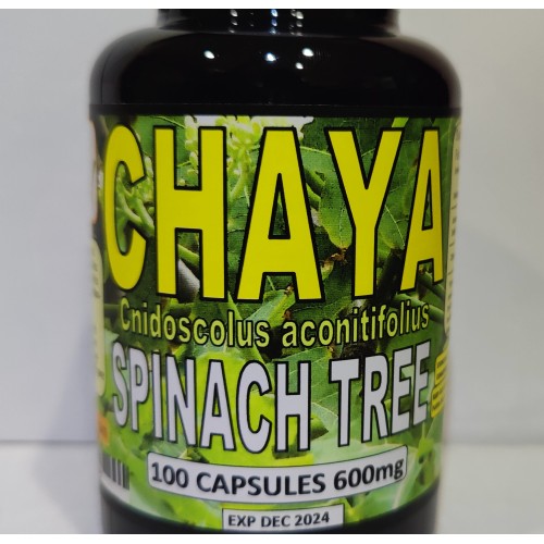 Chaya,Chaya 100 Caps, Mayan miracle plant, Chaya tree, organic spinach ...