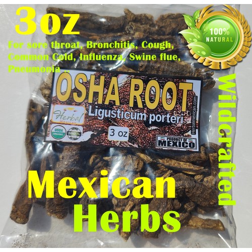 Osha Root, Bear Root, Ligusticum porteri, Porter’s licorice-root ...