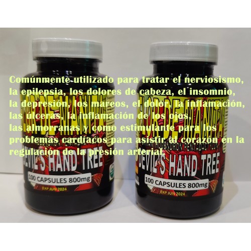 Flor de Manita,Devil's Hand Flower Chiranthodendron Pentadactylon 100 ...