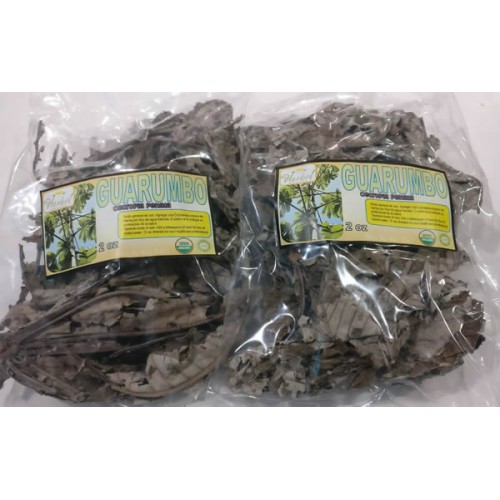 Guarumo, Te de Guarumo, guarumbo, yagrumo, yarumo, Chancarro, Cecropia ...